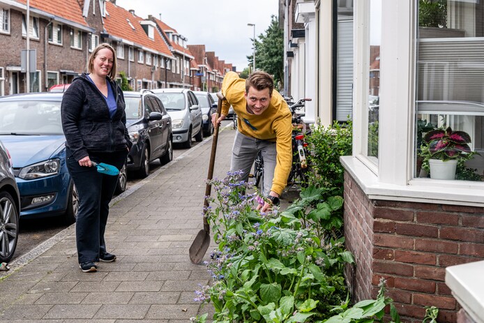 Er zijn steeds meer stenen in de stad in plaats van groen; kunnen de ...