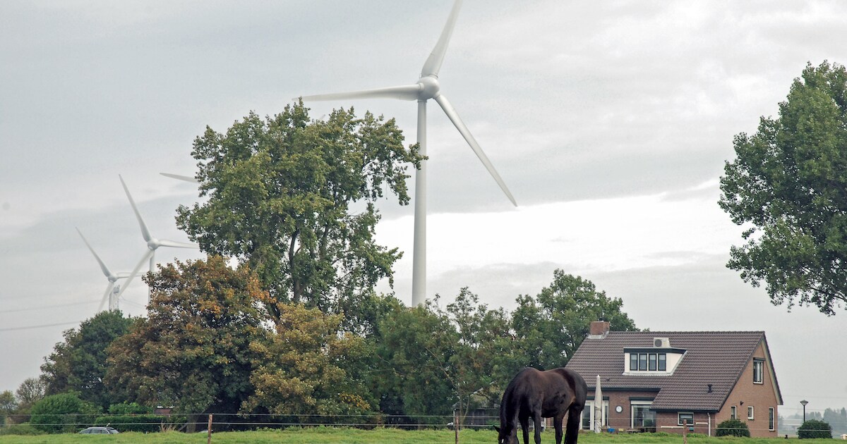 Zon op de Transberg | Dordrecht | AD.nl