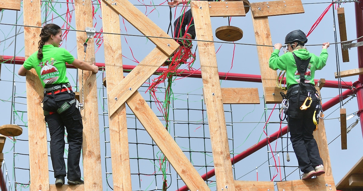 Omwonenden vrezen ‘mini-Efteling’, maar Raad van State staat klimpark ...
