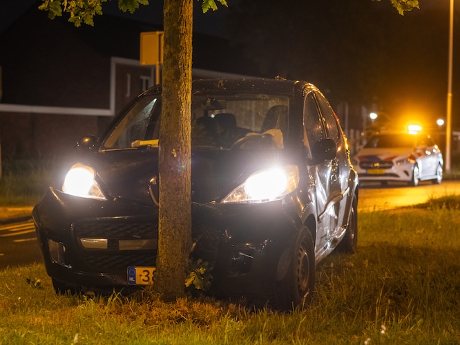 Bunnik | AD.nl