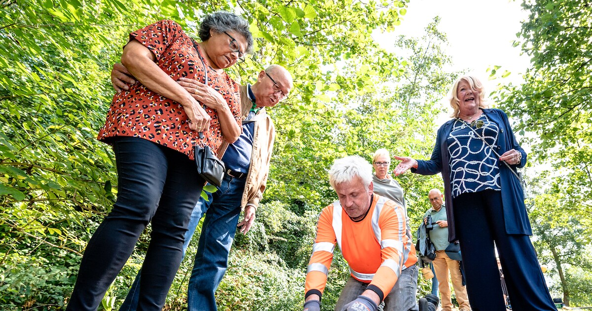 Ooit werd dit laantje in Capelle gebruikt om naar de kerk te gaan, nu ...