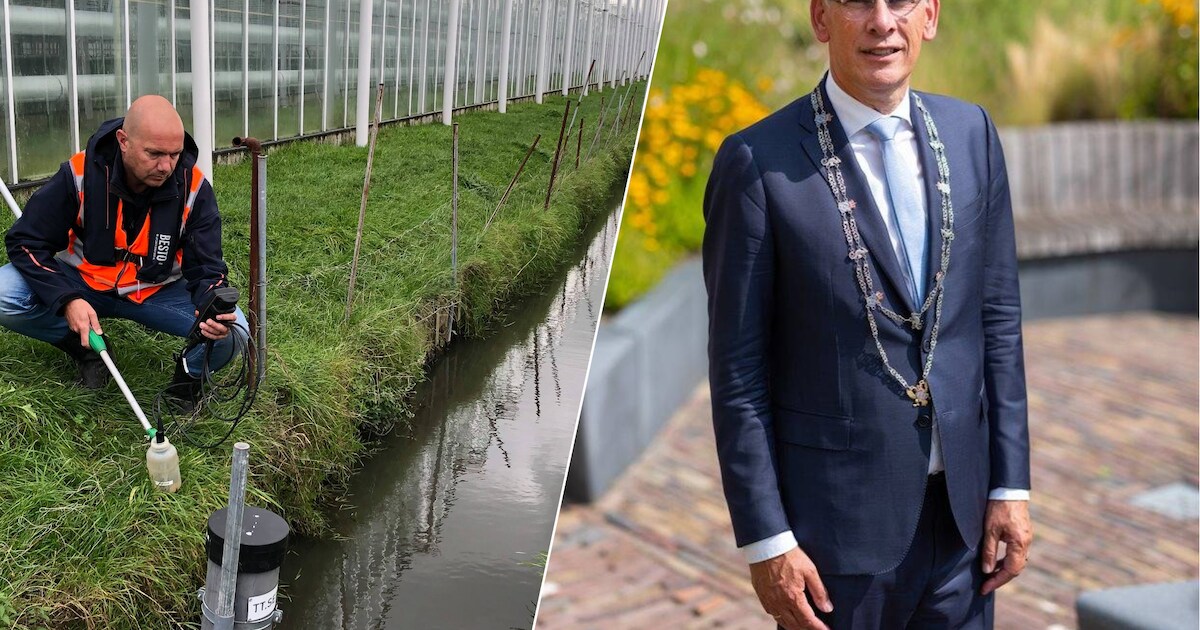 ‘Zou mooi zijn als ik in kas de teelt kan stilleggen’: pleidooi voor ...