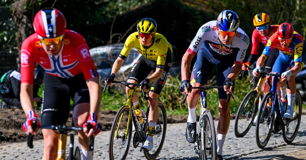 Dwars door Vlaanderen: één van de vier Zeeuwen finisht | Regio | AD.nl