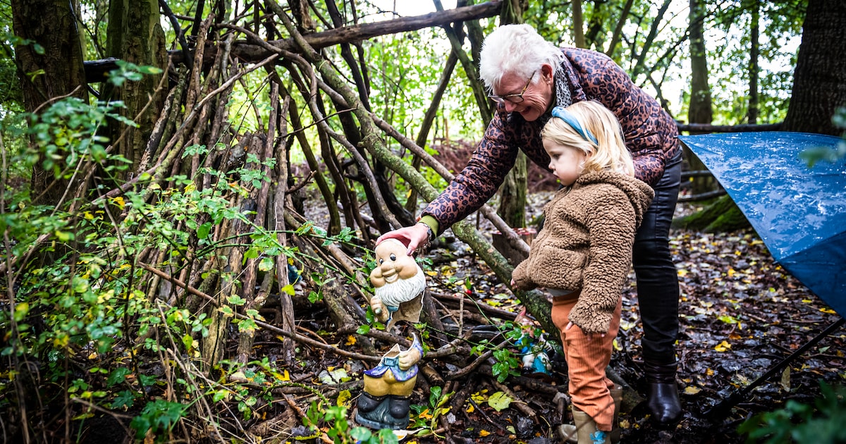 Kabouters gesloopt of verdwenen in kabouterbos: 'Het zijn de kinderen ...