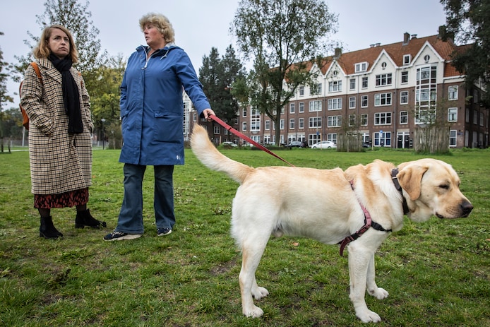 In een overvol Amsterdam is het zoeken naar ruimte voor de hond ...