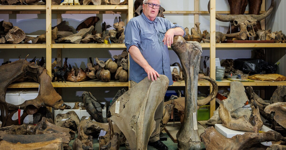 Hobby-paleontoloog Dick Mol verzamelde 50.000 botten uit de ijstijd en ...