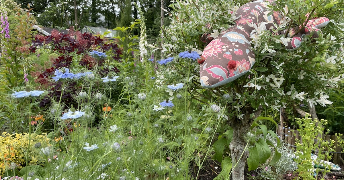 Plantenactie Klimaatkamer bij Tuincentrum Muis in Nijkerk | Regio | AD.nl