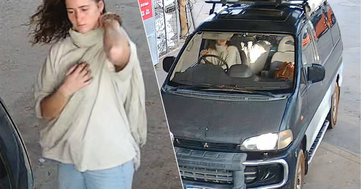 Vermiste Duitse backpacker na 12 dagen levend gevonden: ‘Ze is opgevreten door de muggen ...