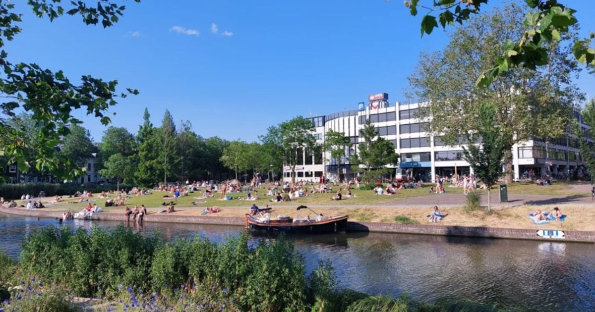 Park Paardenveld is ondanks maatregelen net vuilnisbelt: ‘Laten het ...