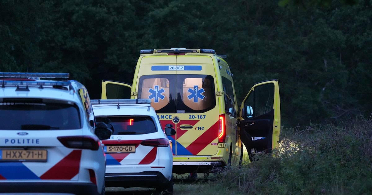 Kinderen vinden lichaam tijdens bosspel in Rijen | Regio | AD.nl