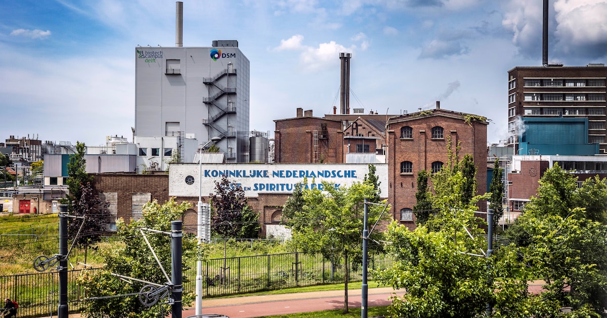 Nieuwe kansen voor Delft: wat zijn jouw ideeën voor het DSM-terrein ...