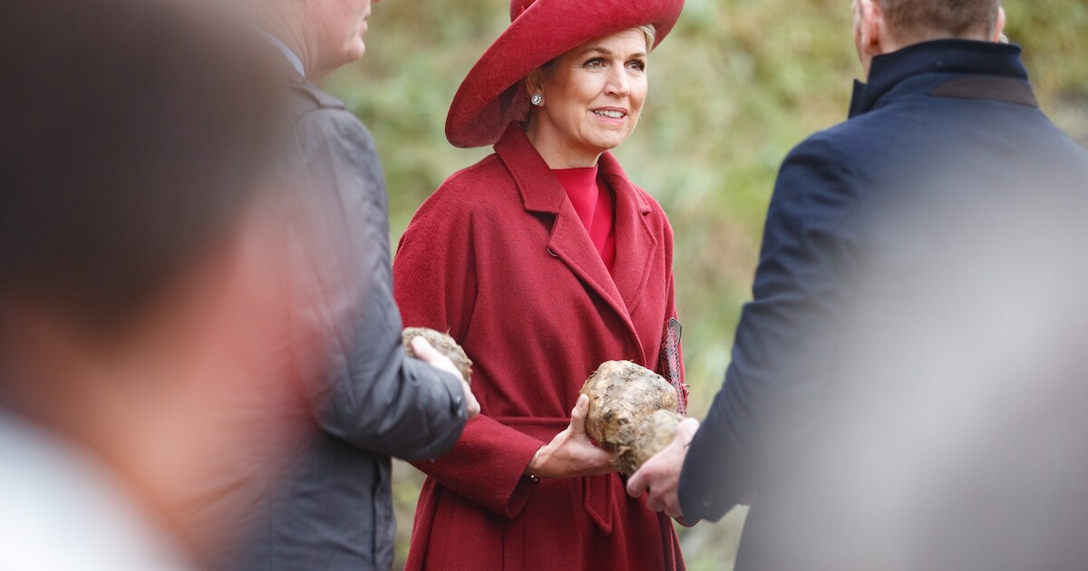 Het bezoek van Máxima aan Dinteloord zit erop: gelukkig hebben we de ...