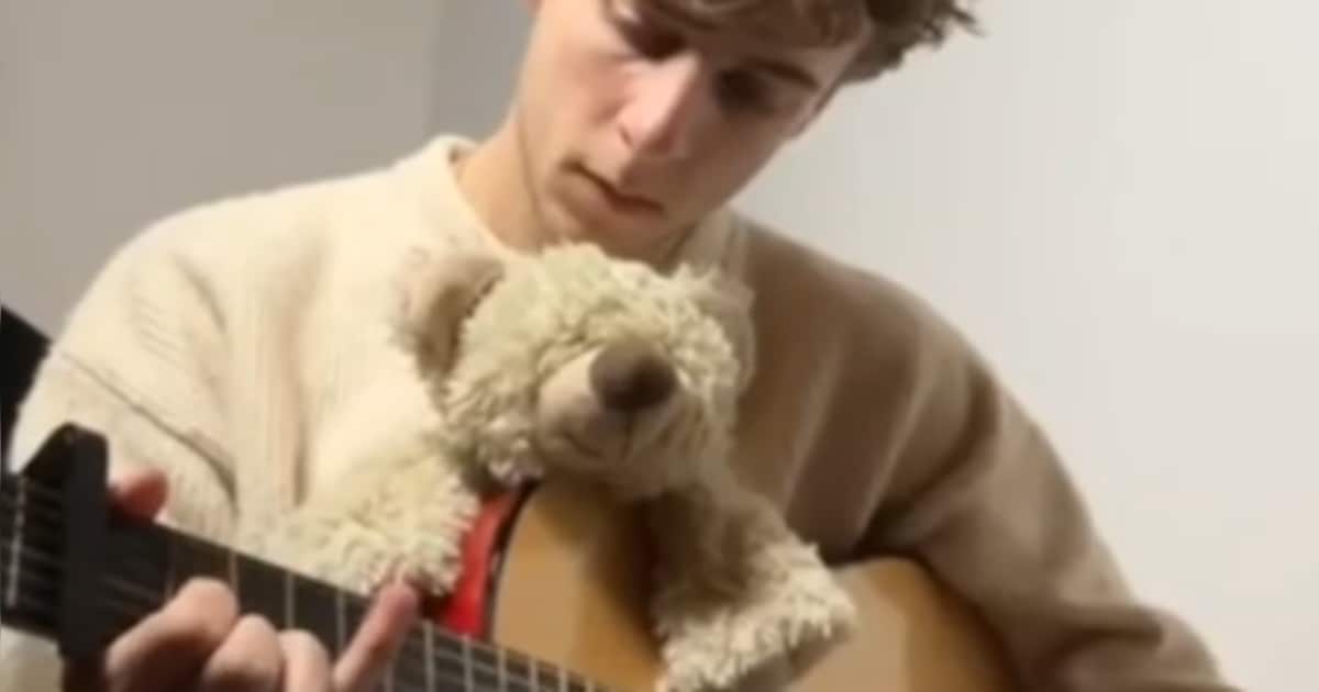 Xander filmt hoe hij gezellige avond heeft met vergeten knuffel van vriendin: kijkers tot tranen ...