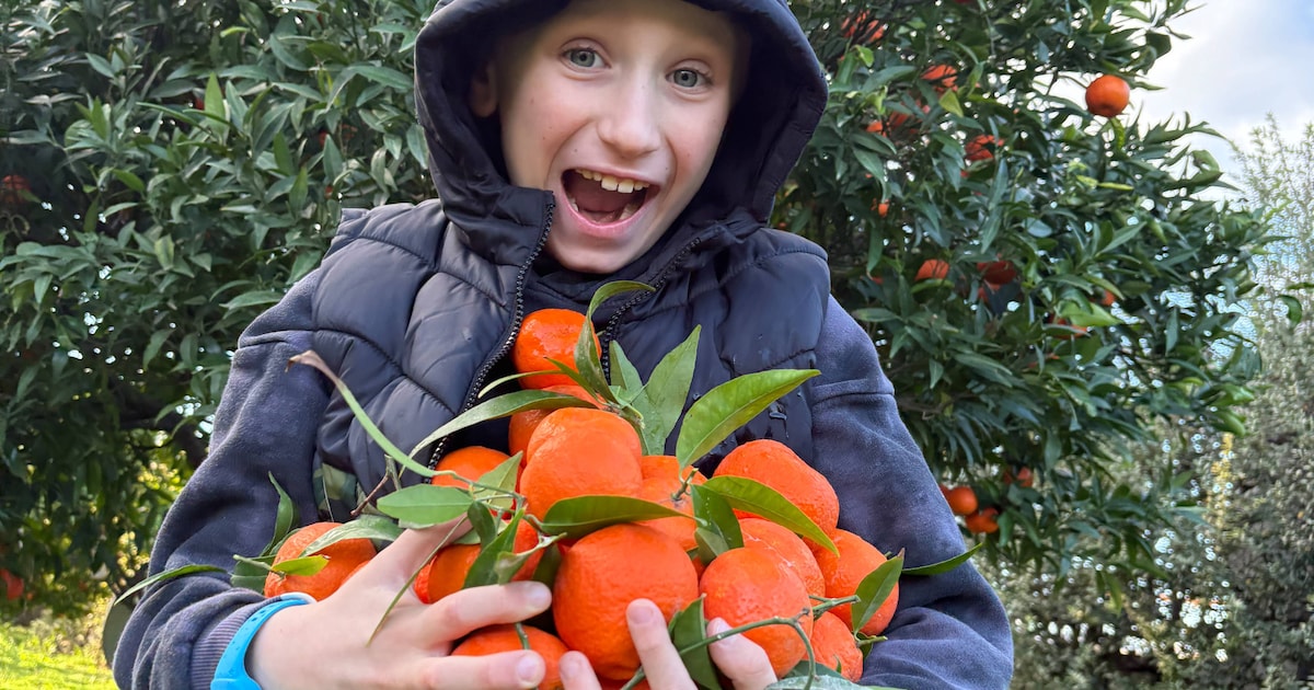 Archie (9) is allergisch voor tuinbonen, nu kan hij zelfs geen ...