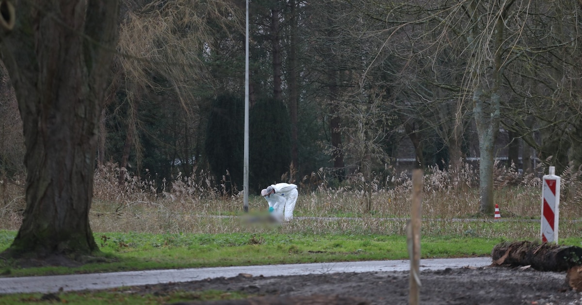 Dode man in park Leidschendam blijkt 39-jarige Pool | Den Haag | AD.nl