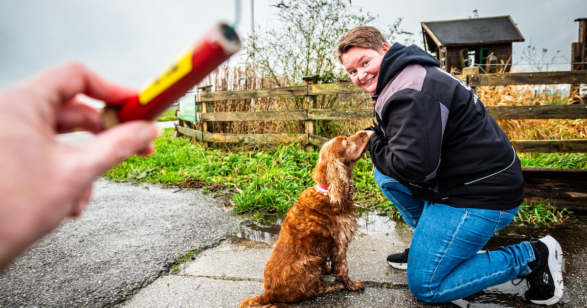 Daniëlle geeft cursus voor honden met vuurwerkangst in Alphen | Alphen ...