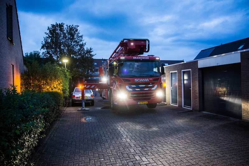Hoogwerker voor kat in boom in Roosendaal, beest springt zelf naar ...