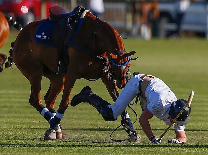 Máxima luistert naar Mark Rutte en draagt stijlvol mondkapje van 12,95 ...