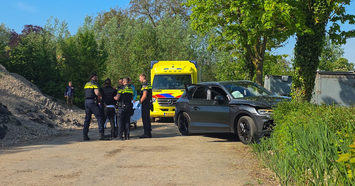 Man (28) rijdt onder invloed auto tegen boom in Dordrecht | Regio | AD.nl