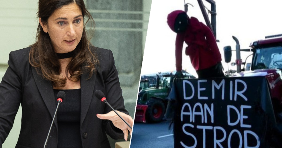 Ook in Vlaanderen protest tegen stikstofplannen: boeren hangen pop van ...