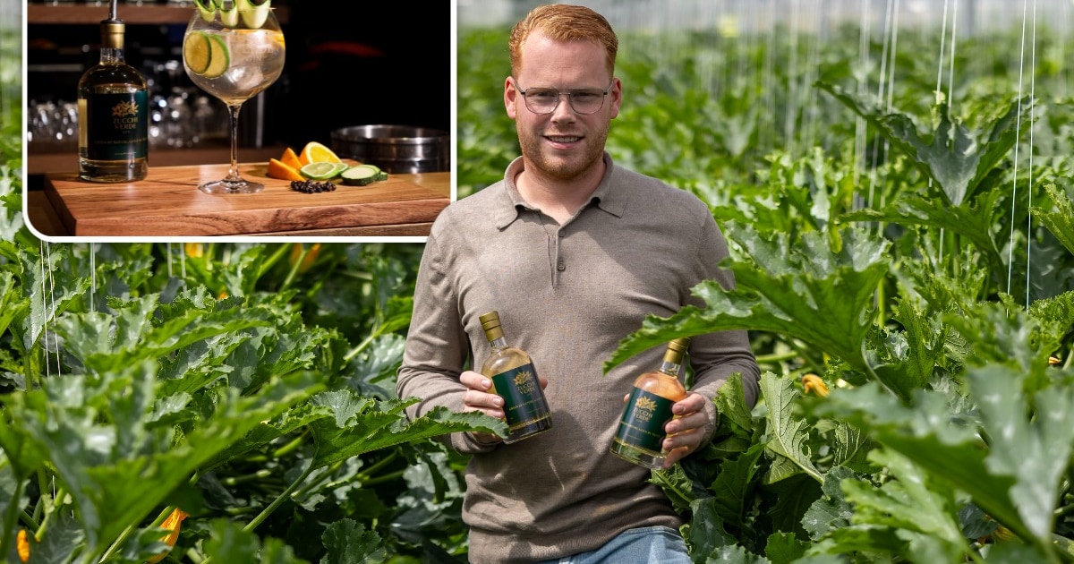 Courgette vooral om mee te koken? Kweker Guus maakt er gin (!) van ...