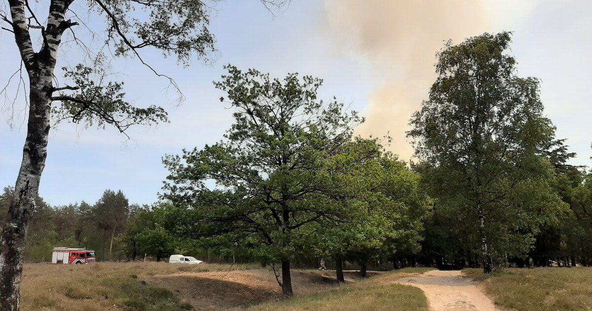 Bosbrand Herperduin zorgt voor flinke rookkolom, vuur onder controle ...