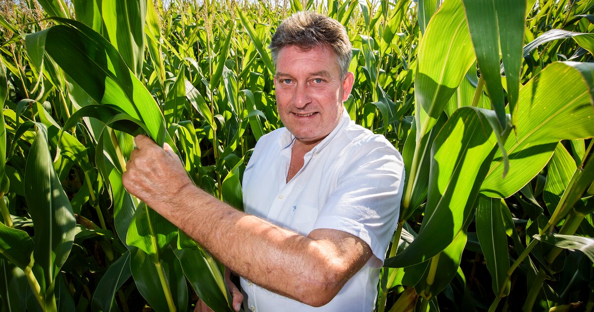 Ongelooflijk maar waar: Gerjan (59) heeft zijn afgehakte onderarm terug ...