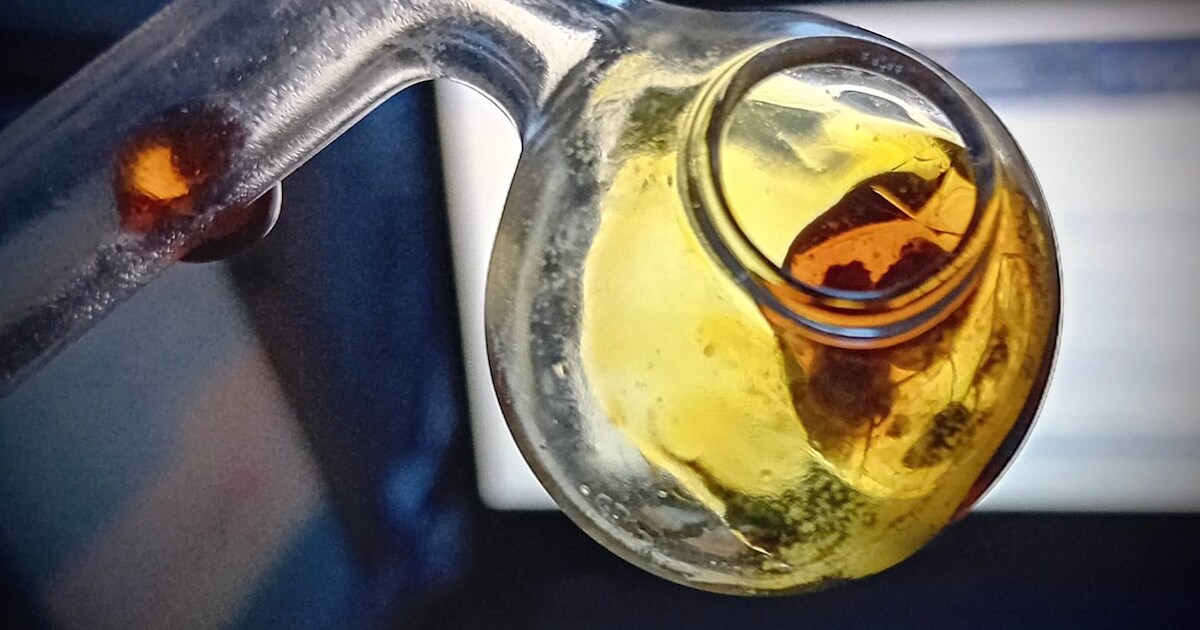 Overlast van flakka-verslaafden in Bergen en Roosendaal gedaald ...