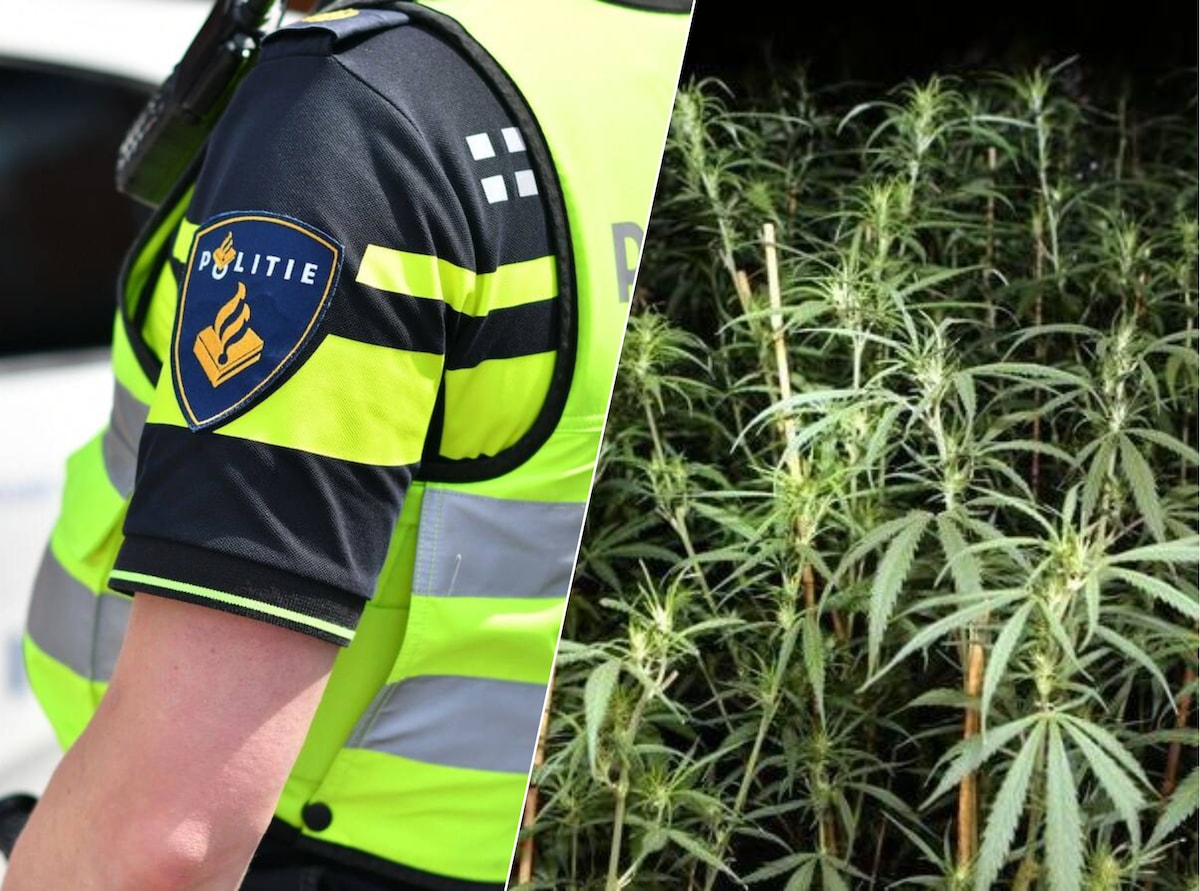Politie vindt na inval spullen voor wietkwekerij in Goor | Hof van ...