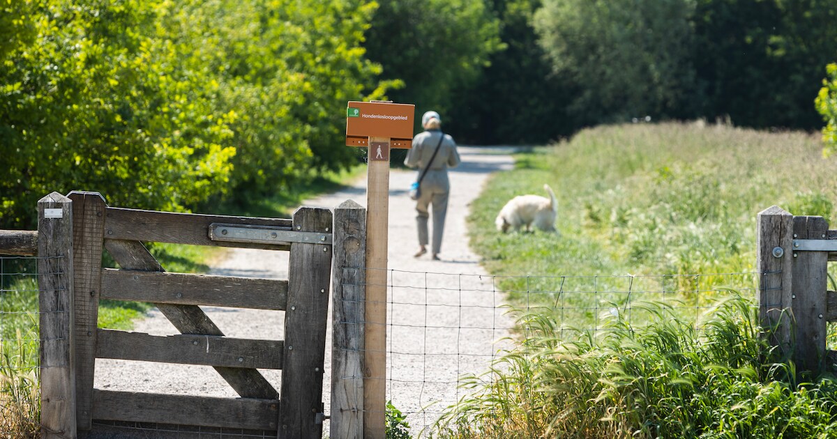 Wat kan er beter aan het Bentwoud? Provincie en Staatsbosbeheer vragen ...