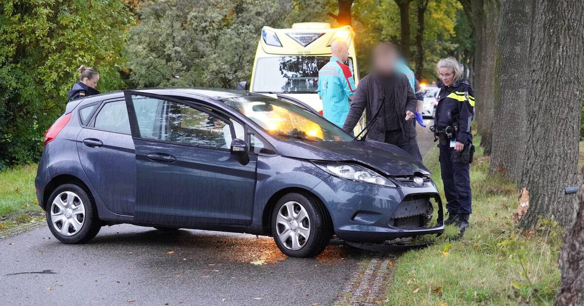 Personen gecontroleerd na botsing met boom op de Noorddijk in Peize ...