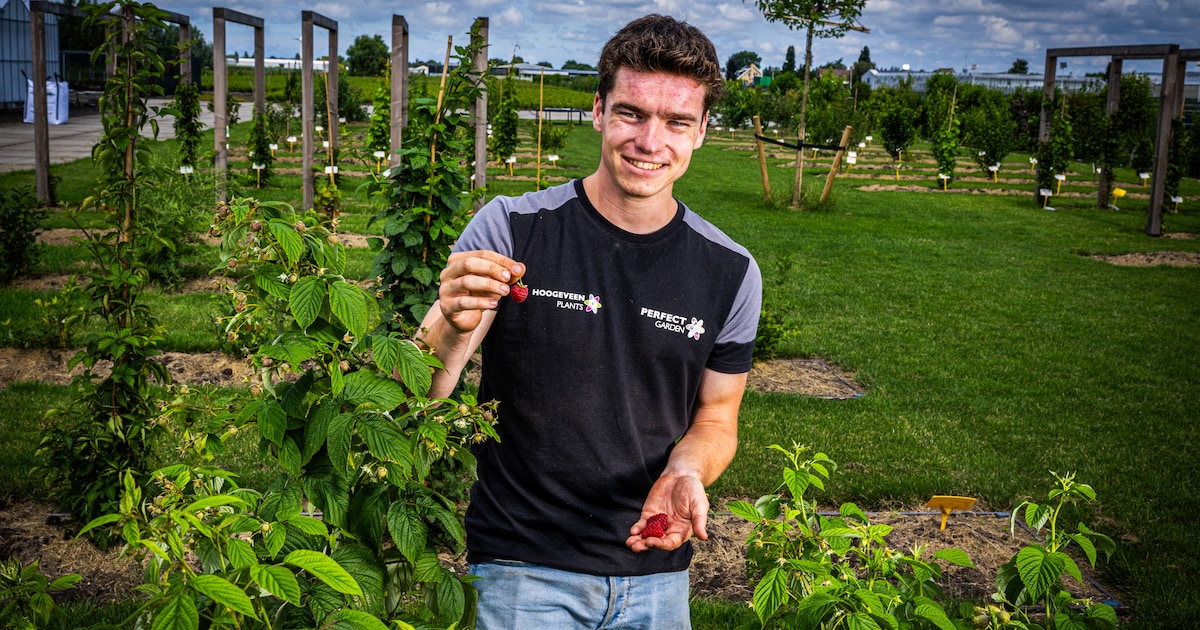 Tim (22) kweekt emissieloze plant: ‘We werken samen met de natuur ...