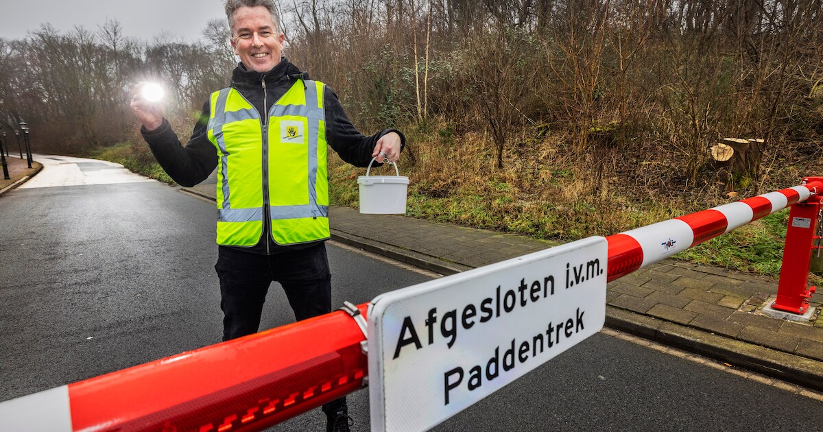 Haagse helpende handen vol dierenliefde: wie helpt de padden oversteken ...