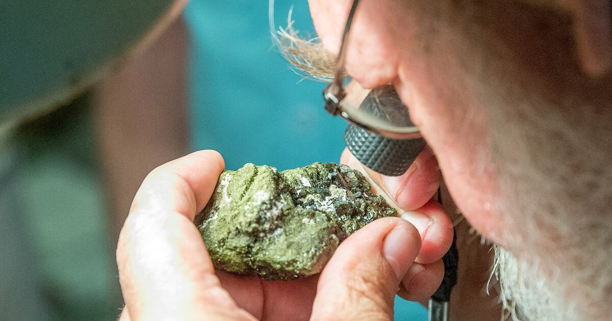 Fossielen in stenen ontdekken in Natuurmuseum Holten | Deventer | AD.nl