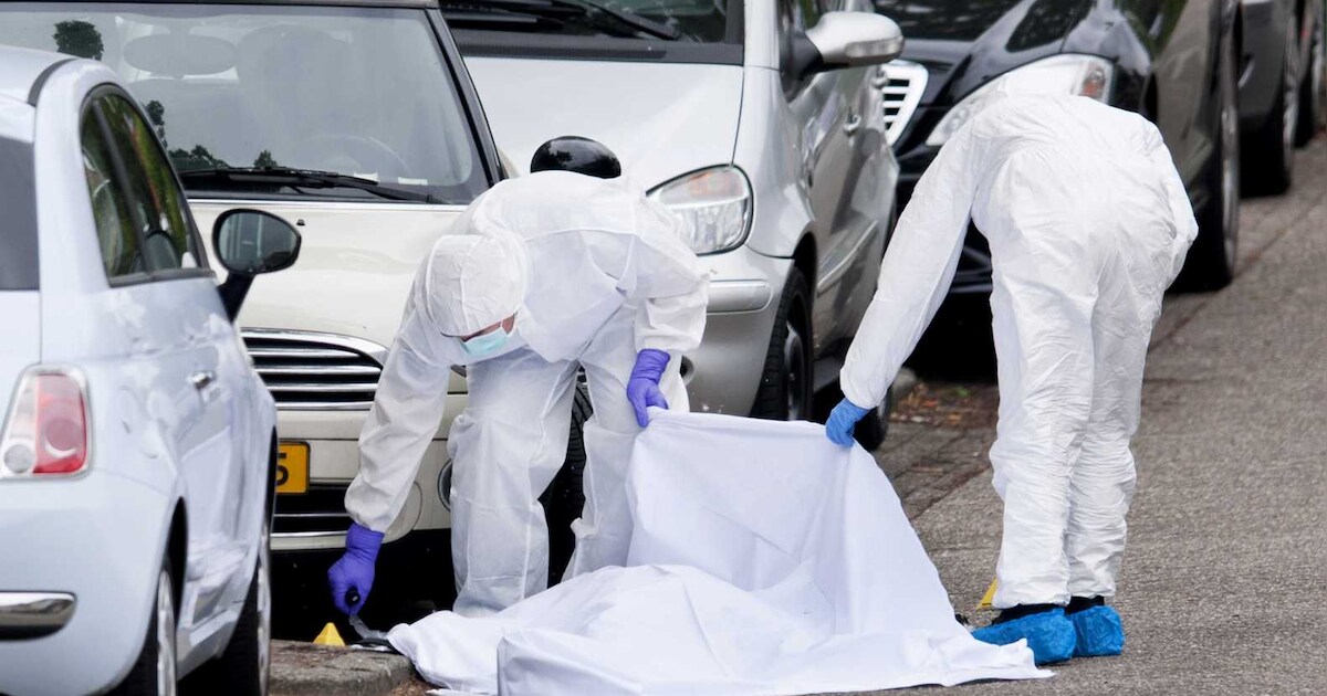 'Aanslagplegers Lucas Boom en Peter R. uit dezelfde hoek' | Amsterdam ...