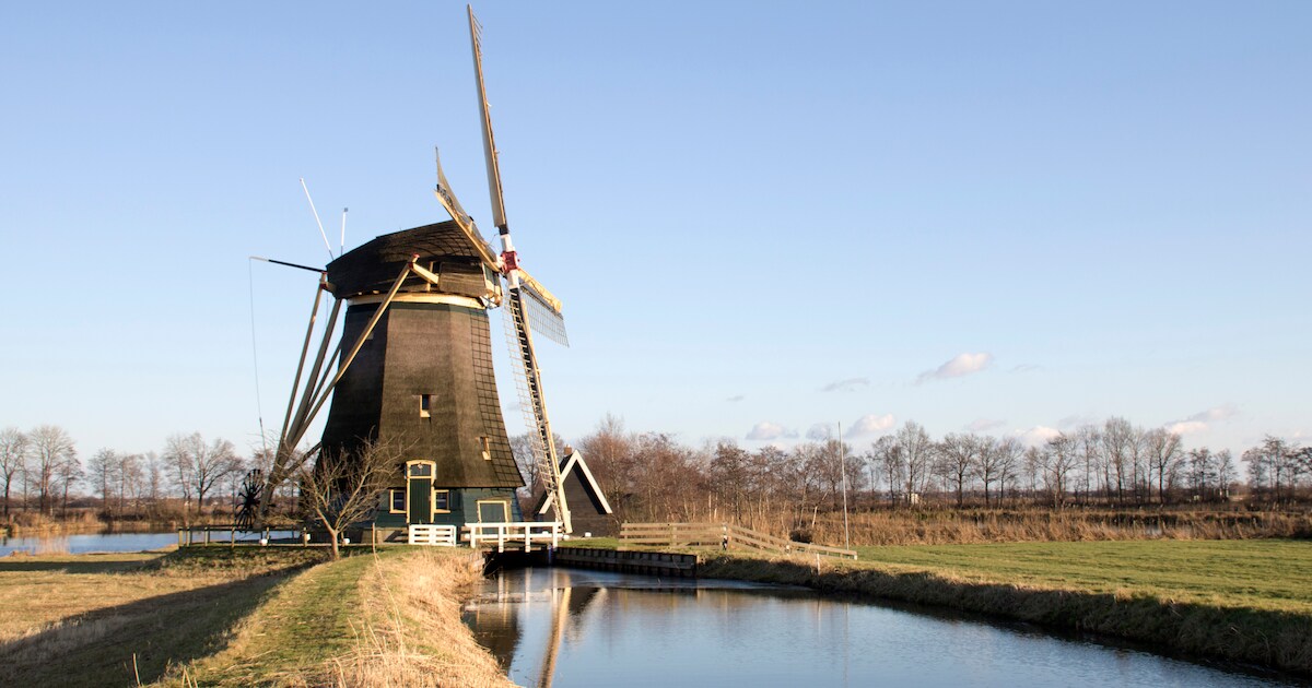 Enorme domper dreigt voor Utrechtse molenaars: ‘Staan de molens stil in ...