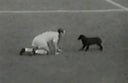 Engeland bidt voor Jimmy Greaves, de ‘Engelse Maradona’ die ook veel ...