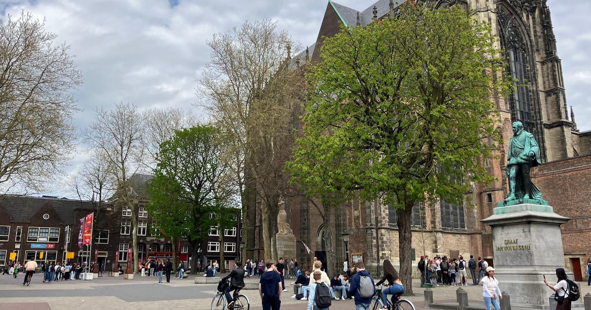 Hemelvaart 2026: dit is er te doen in Utrecht | Regio | AD.nl