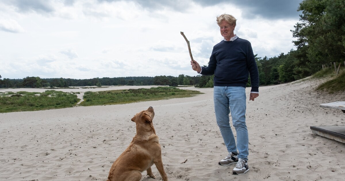 Uitlaatservices voor honden gaan in gesprek met Soest over dreigend ...