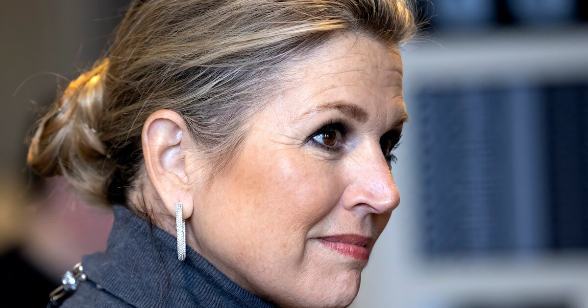 Máxima geeft een nieuwe dimensie aan ‘vijftig tinten grijs’ | Oranje ...