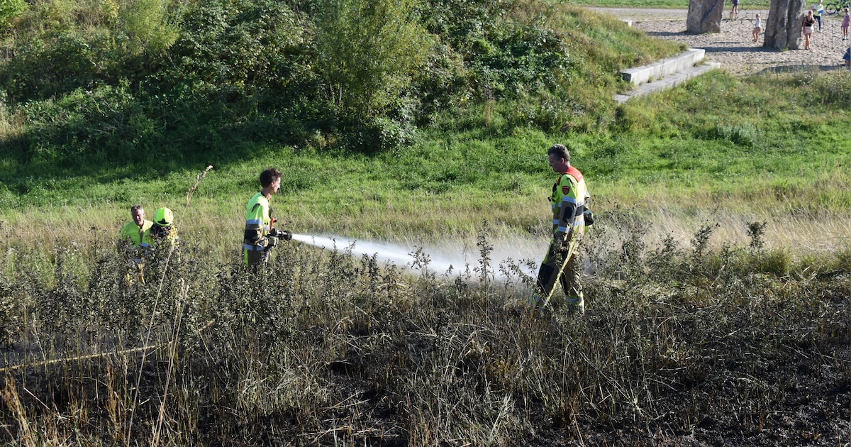 Flink stuk berm afgebrand langs drukke weg in Nijmegen | Regio | AD.nl