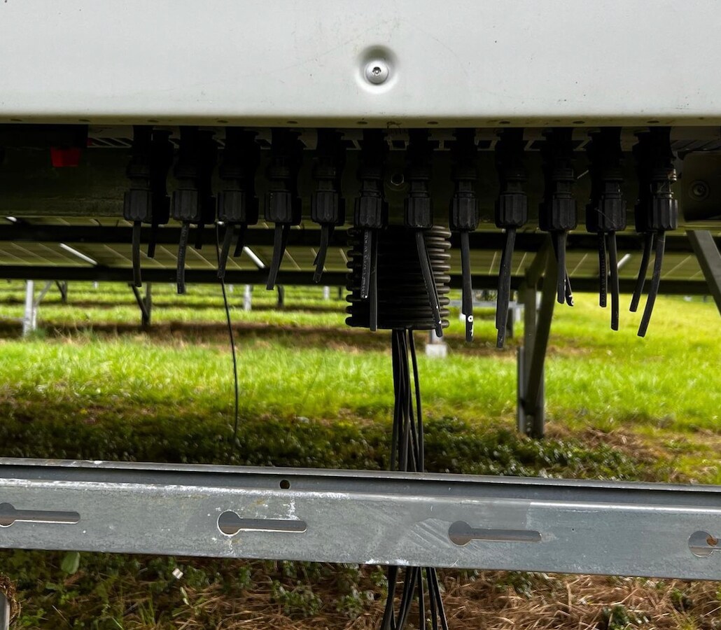 Inbrekers maken stroomkabels buit op zonnepark in Den Ham: ‘Gevaarlijk ...