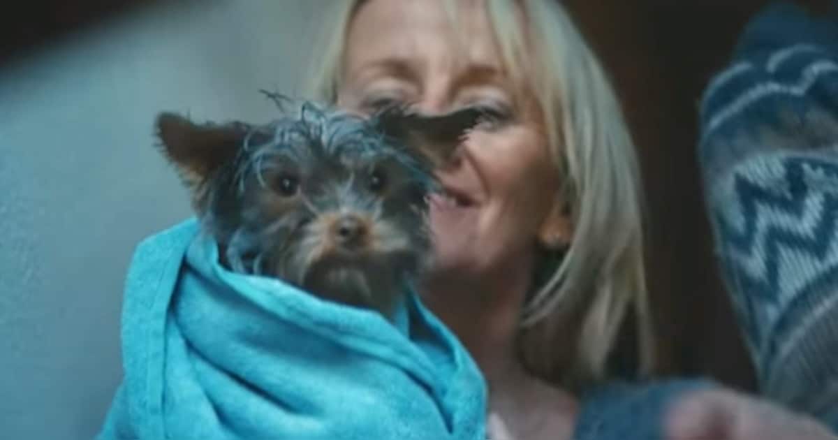 Zielig loterijhondje Frekkel raakt Nederland diep in het hart | Show ...