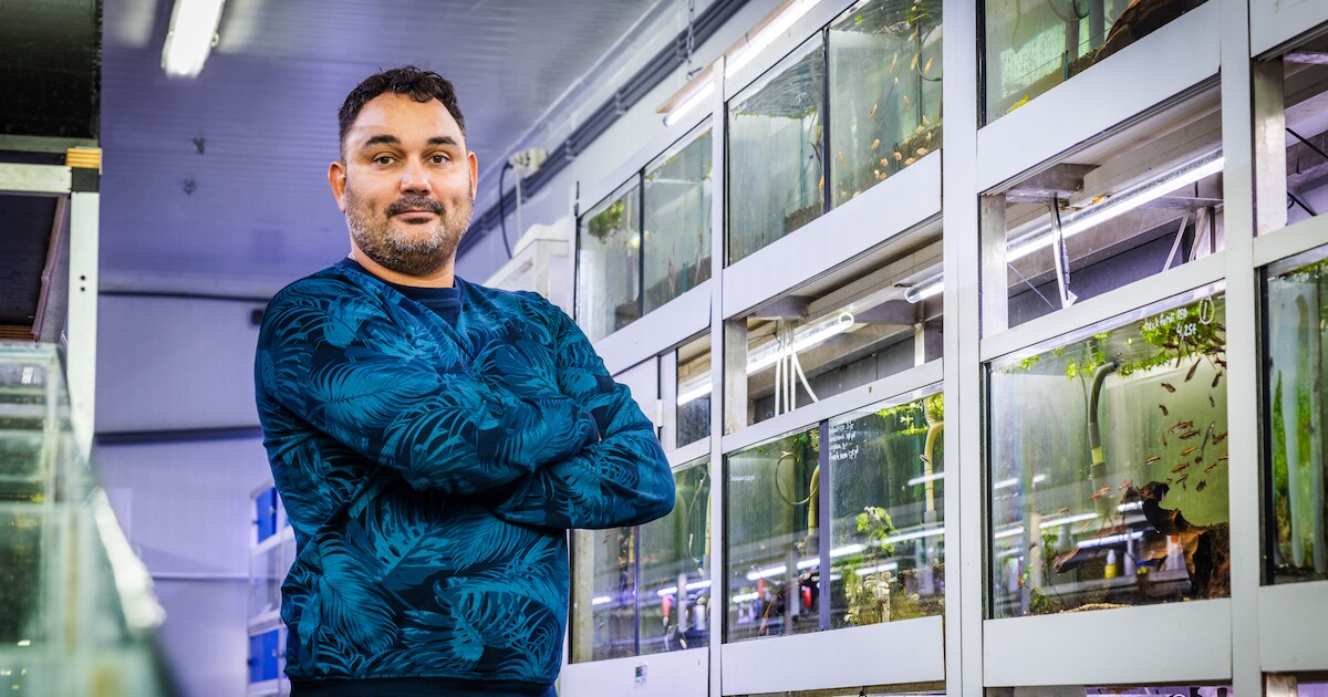 Danny heeft een vissenasiel, maar het water staat ’m aan de lippen ...