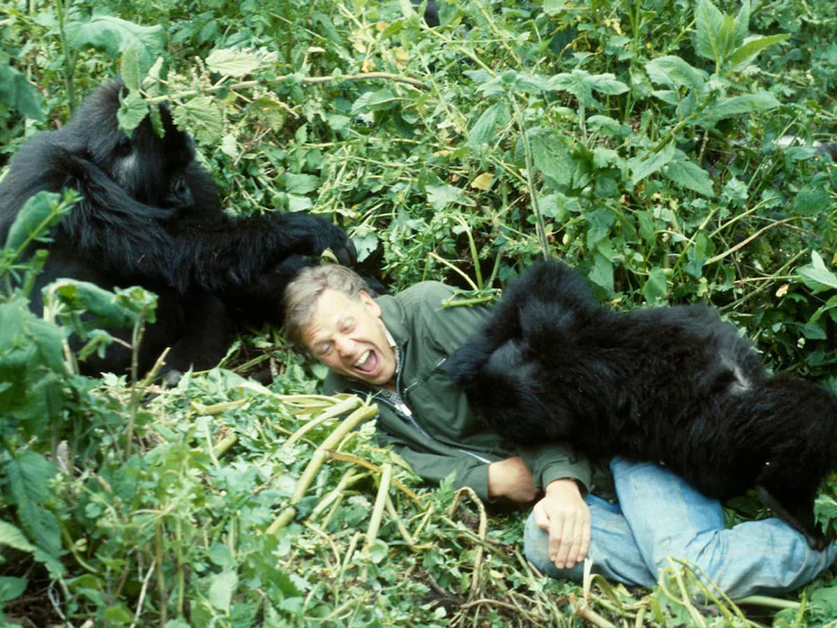 Obama zenuwachtig, Queen smelt: zeven momenten die David Attenborough ...