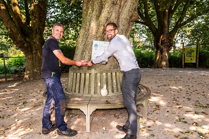 Bijzondere bomen in het Groene Hart onderscheiden: ‘Bassie en Adriaan ...