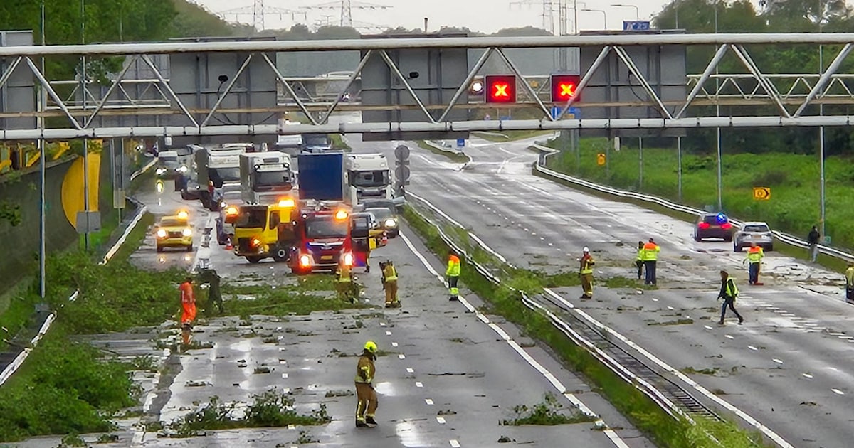 A15 bij Papendrecht weer deels open nadat takken op snelweg waaien door ...