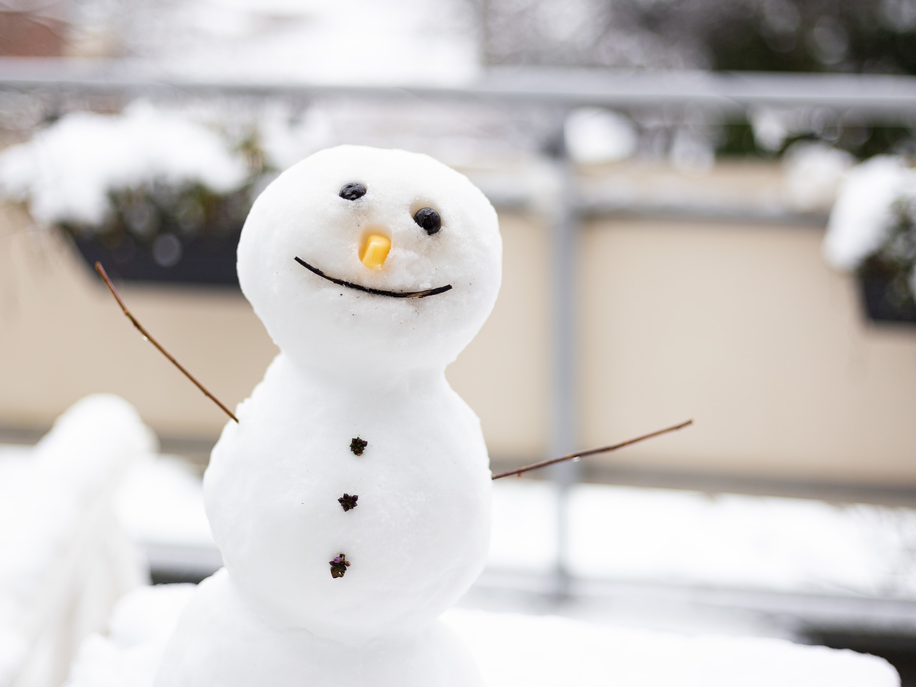 Winter is begonnen: wat weet jij van dit seizoen? | Quiz | AD.nl