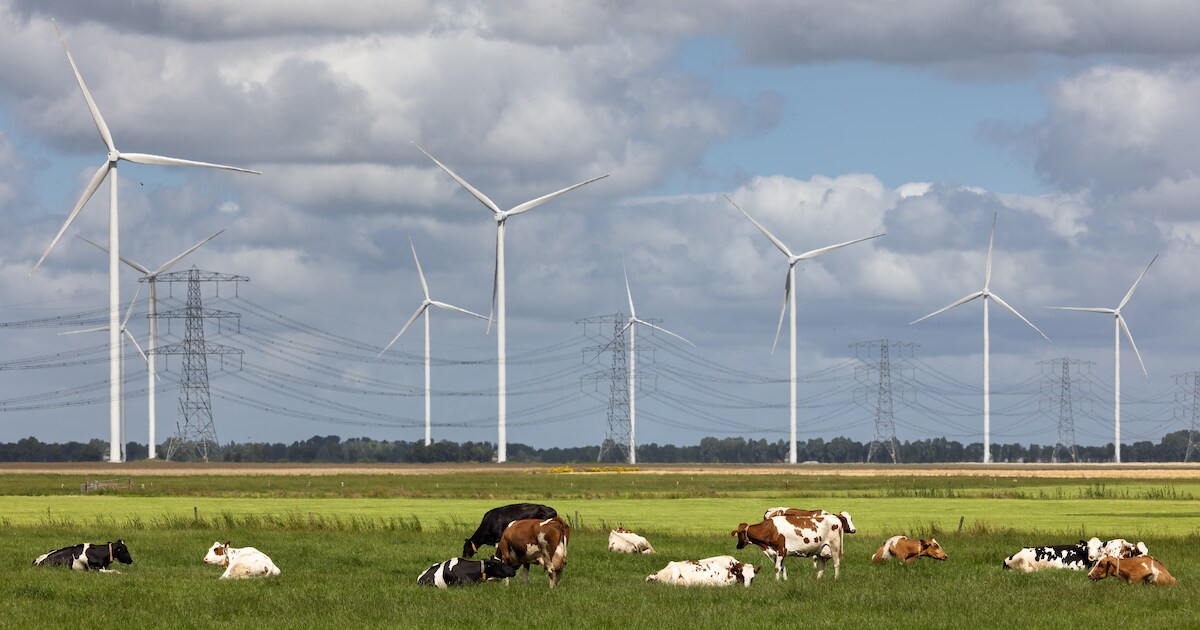 Netbeheerders: overheid moet nú keuzes maken voor klimaatdoelen ...