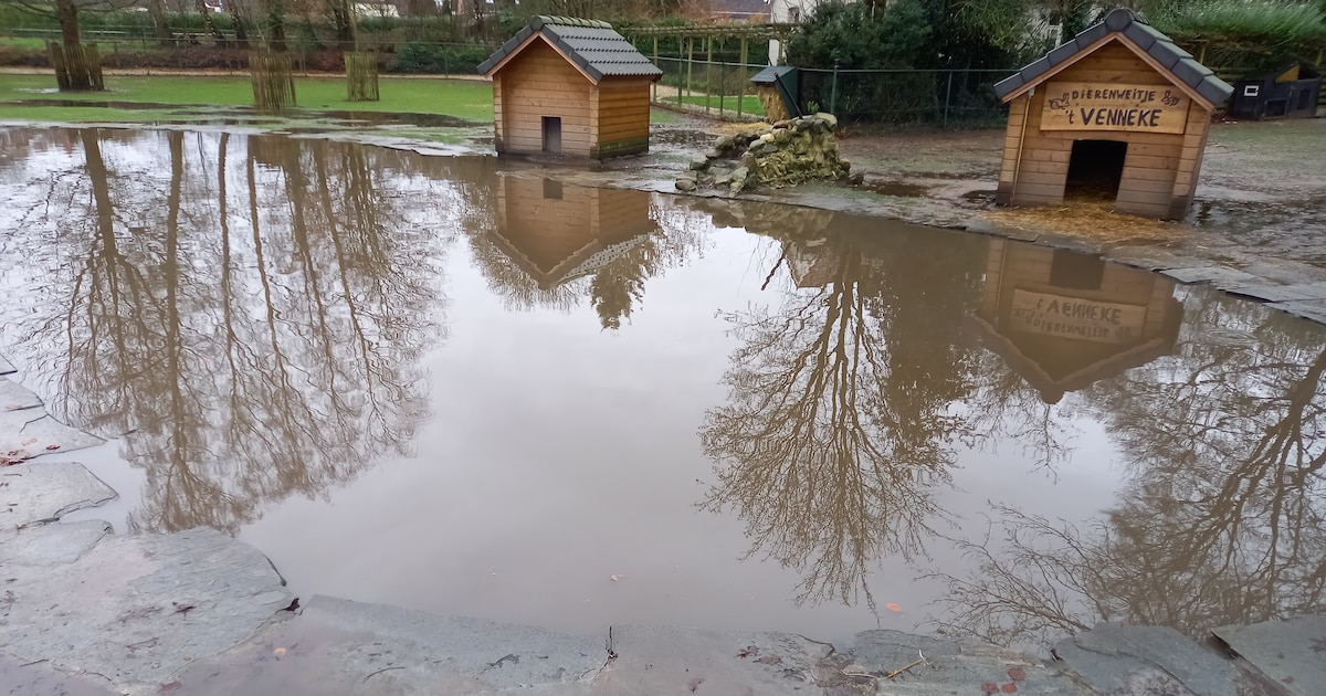Wateroverlast: vijver in bekend Groesbeeks dierenweitje overgelopen ...